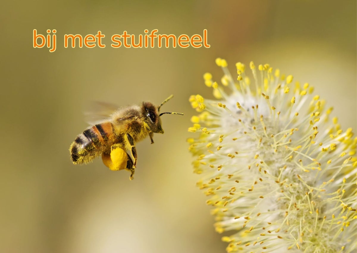 BIJEN / GRATIS DOWNLOADS | IlseLangschmidt.nl