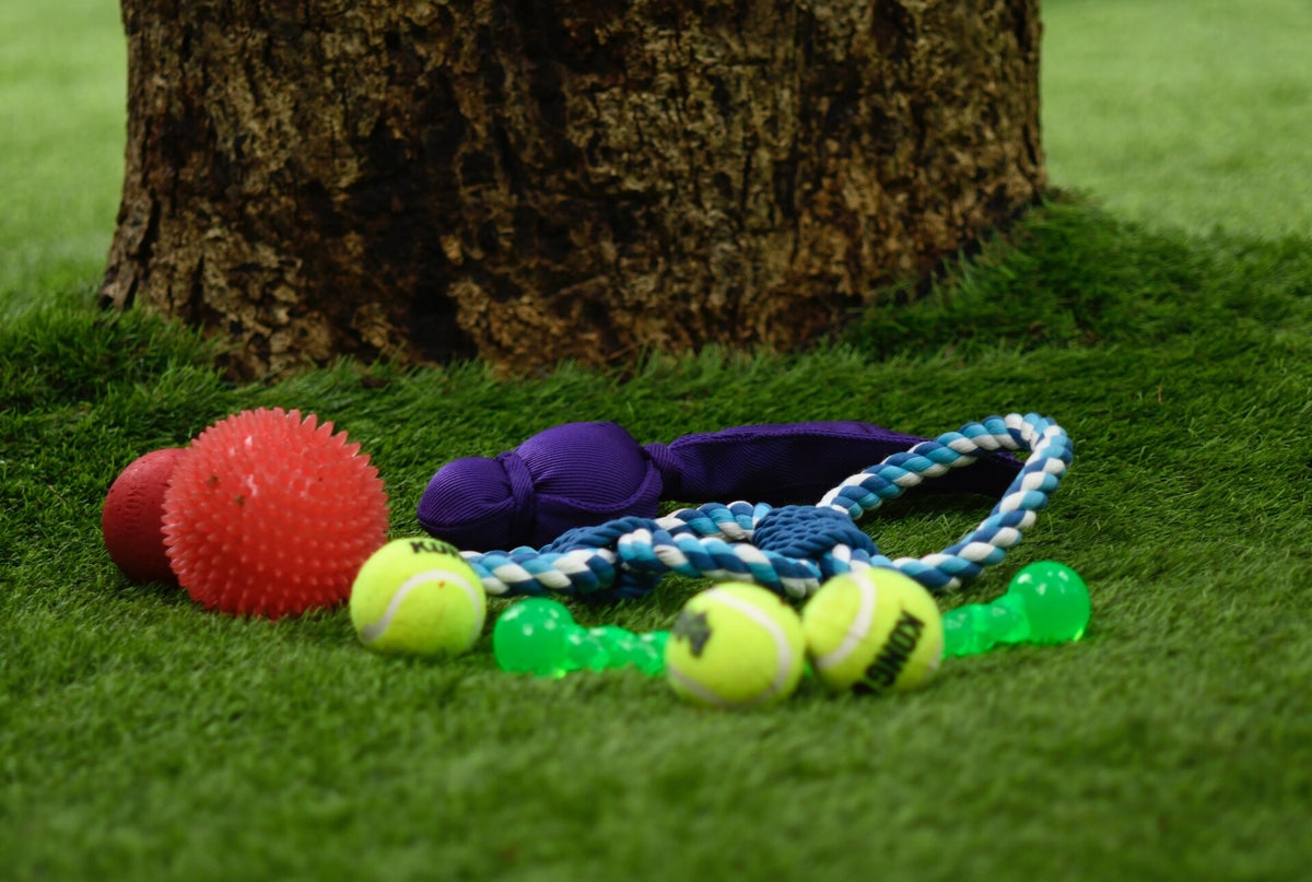 Contact | Animal House