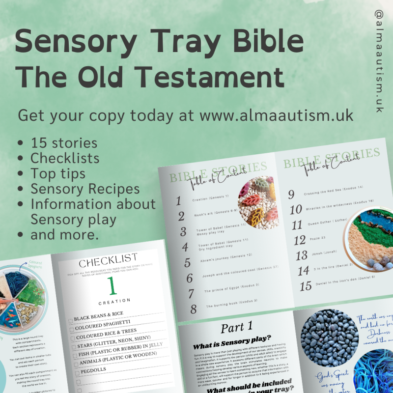 Sensory Tray Bible - BOOKS | Alma Autism UK
