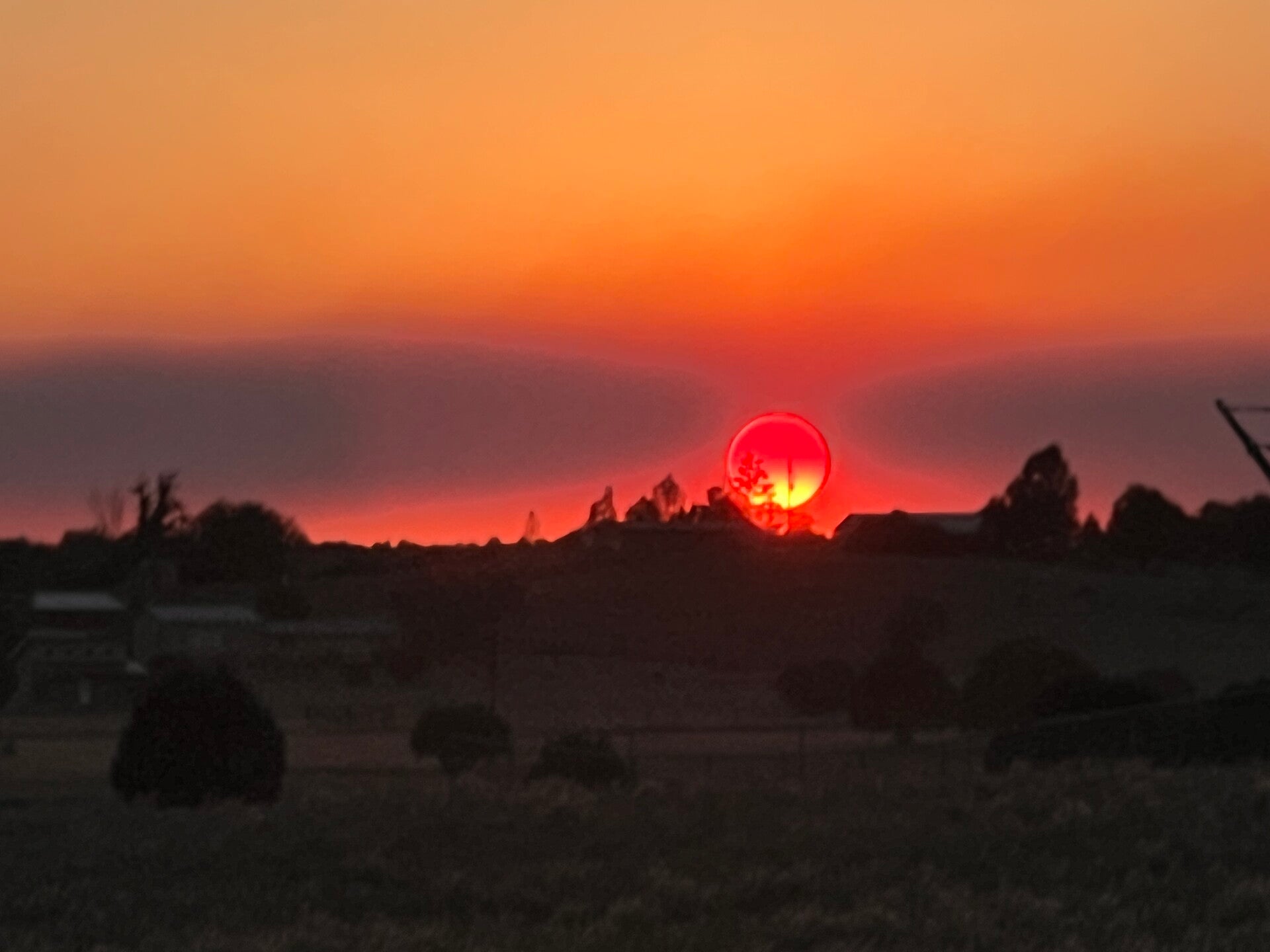 Arizona Bus Club/Events