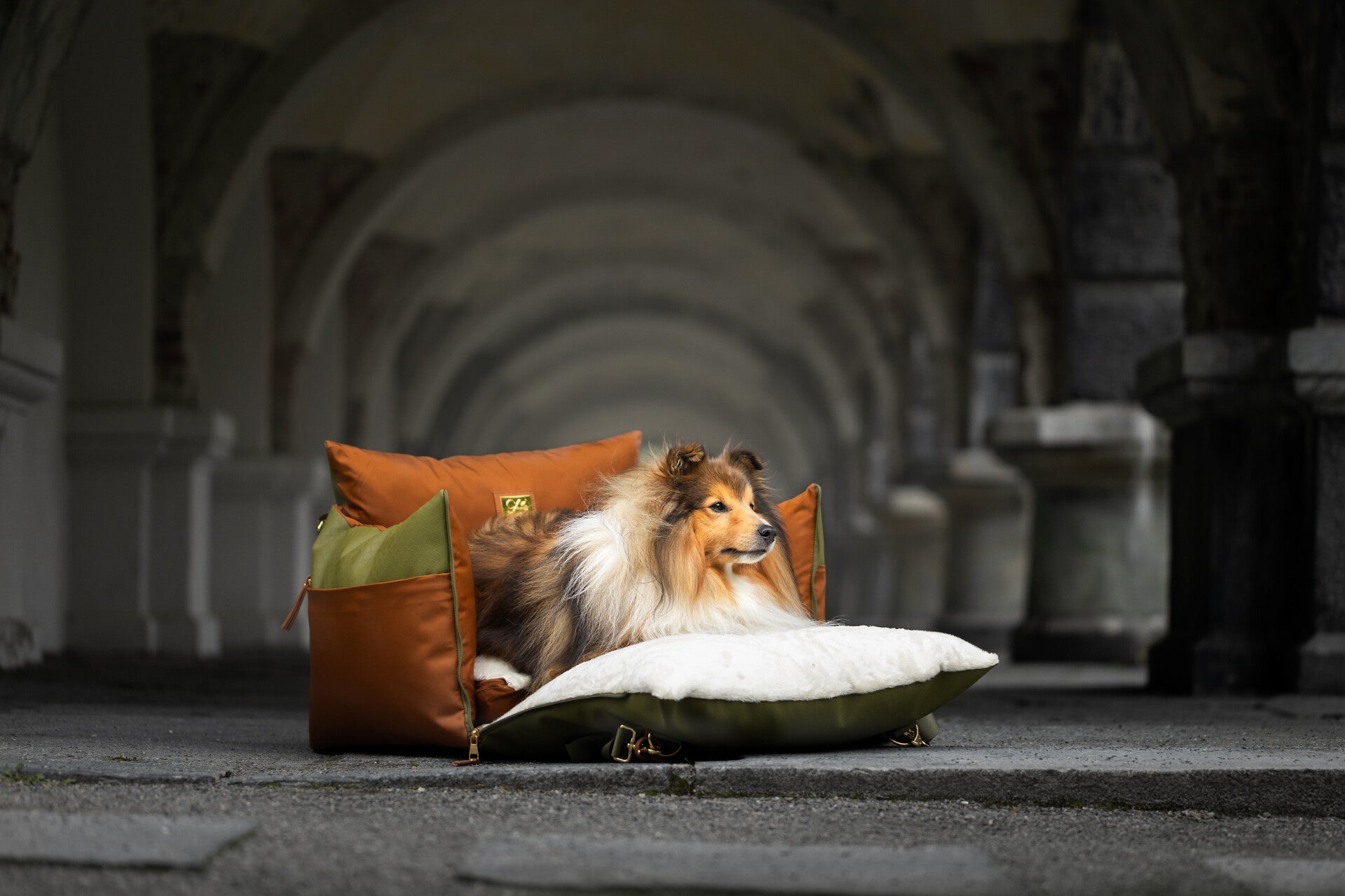Designer Dog Car Seat Dog Travel Bed L lianne designer-dog-car-seat-dog-travel-bed-l-lianne