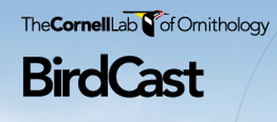 Birdcast- tracking birds in real time. / Migration / Ecology ...