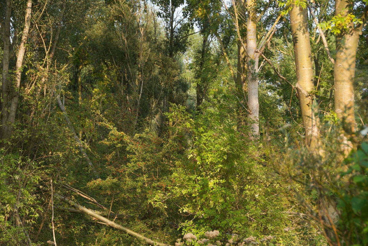 Information | Christophe Van Eecke