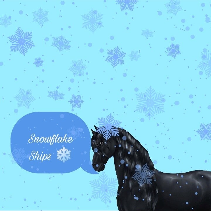 Unsere geschichte | Snowflake Ships