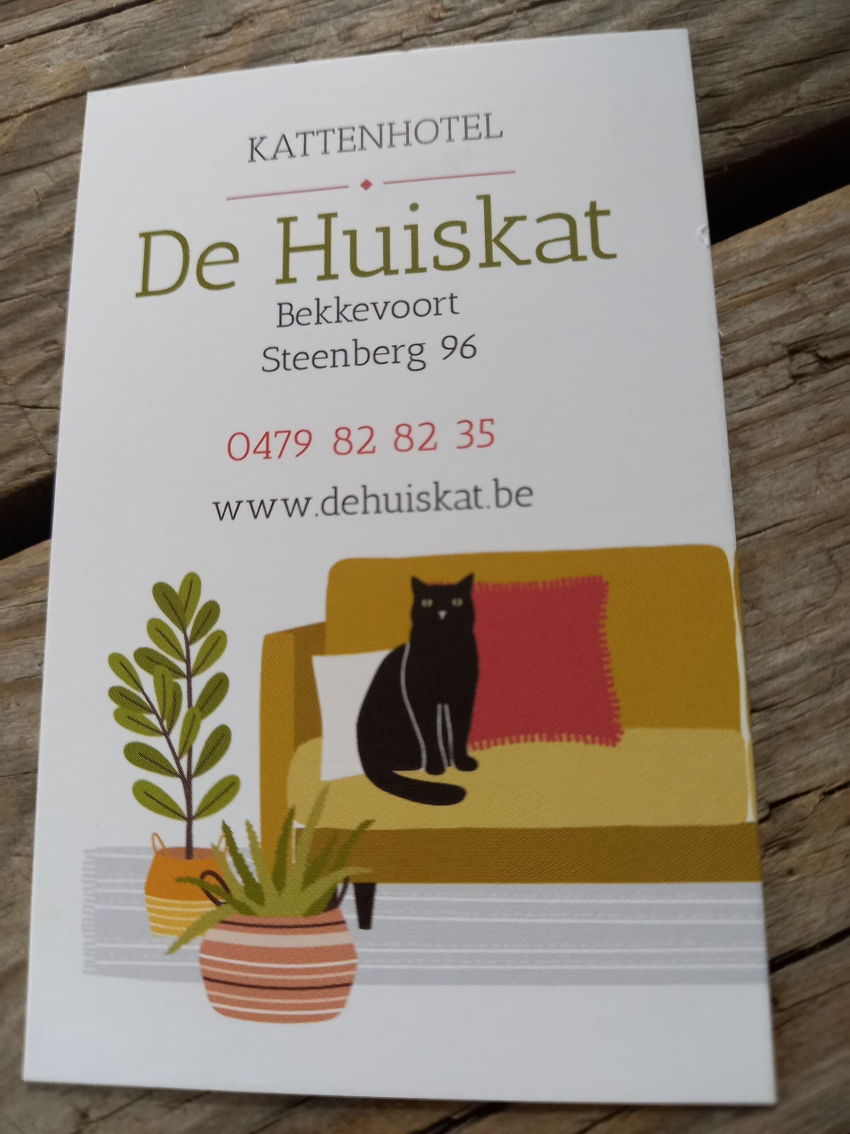 ons contacteren? | De Huiskat