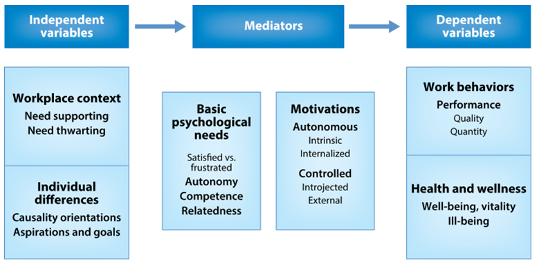 SDT Motivation Model / Modellen & Meetinstrumenten | Onderzoek in ...