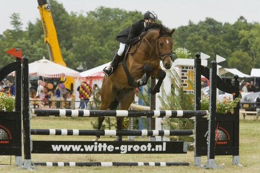 Springen | Weetjesoverpaardenenponys