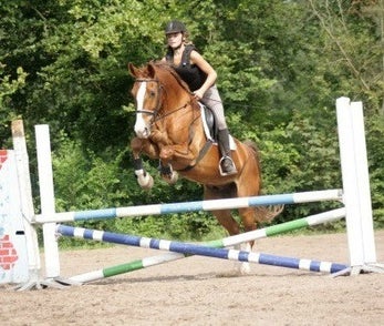 Springen | Weetjesoverpaardenenponys