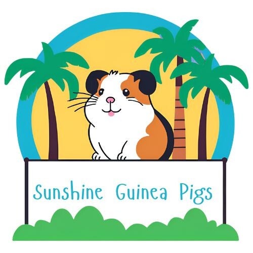 Home | Sunshine Piggy Rescue of Florida