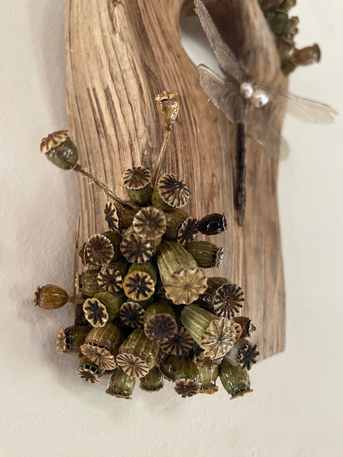 dried nature / Objects | Lidwien Curfs