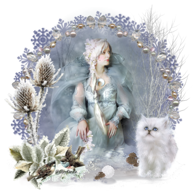 Beautiful Winter / Winter | PSP lessen Berlinde