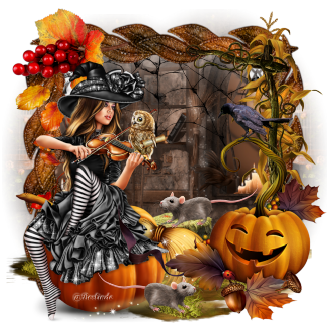 Sweet Witch / Halloween | PSP lessen Berlinde