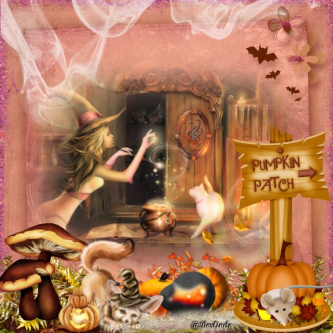 Halloween Magic / Halloween | PSP lessen Berlinde