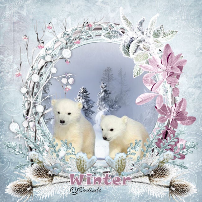 Winter’s Magic / Winter | PSP lessen Berlinde