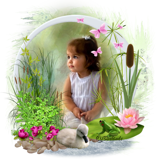 Perfect Summer / Zomer | PSP lessen Berlinde