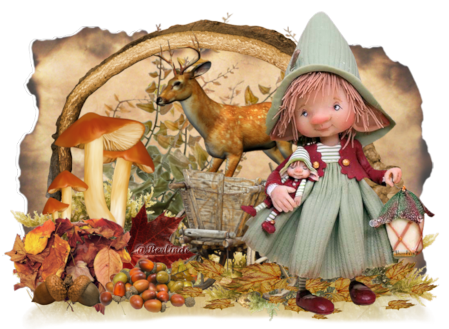 Herfst | PSP lessen Berlinde