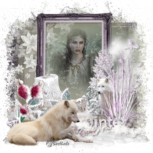 Wolves / Winter | PSP lessen Berlinde