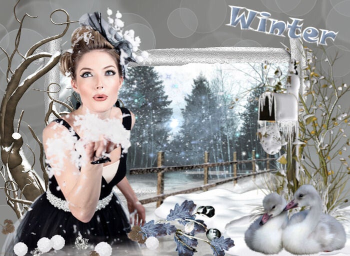 All Winter / Winter | PSP lessen Berlinde