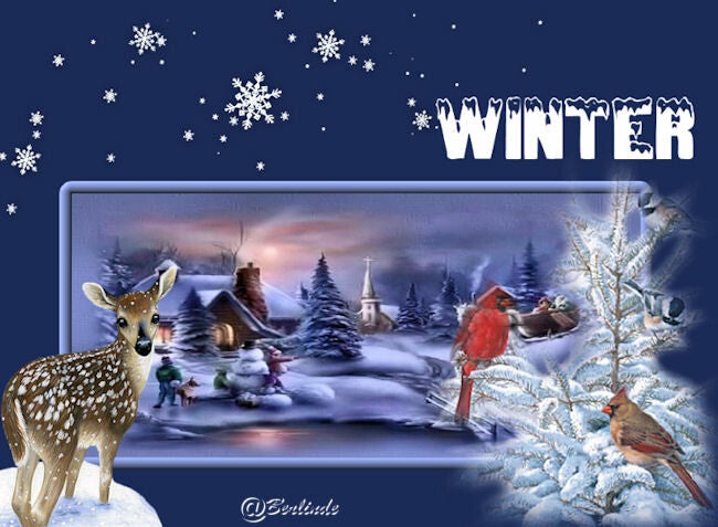 Winter_1 / Winter | PSP lessen Berlinde