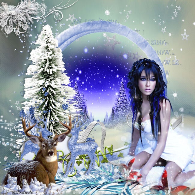 Winter Night / Winter | PSP lessen Berlinde