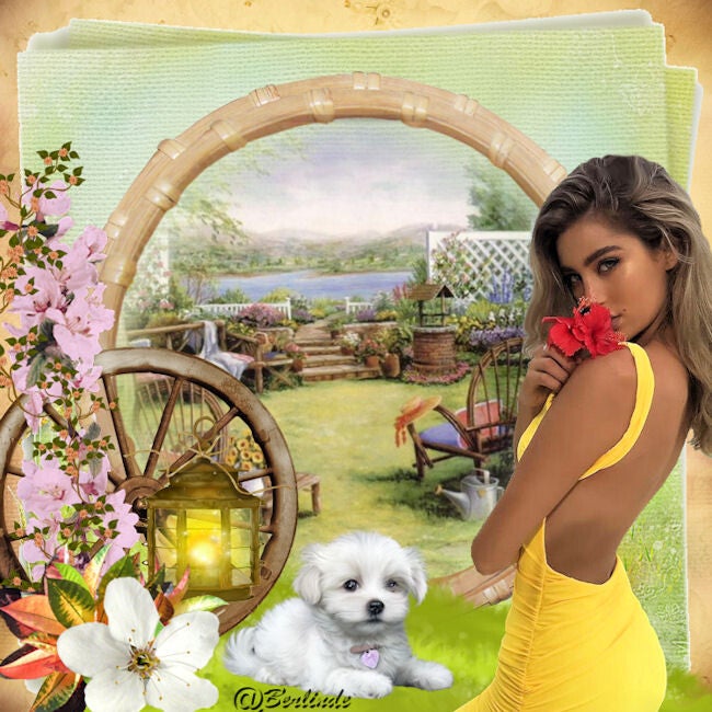 Summer or Autumn / Herfst | PSP lessen Berlinde