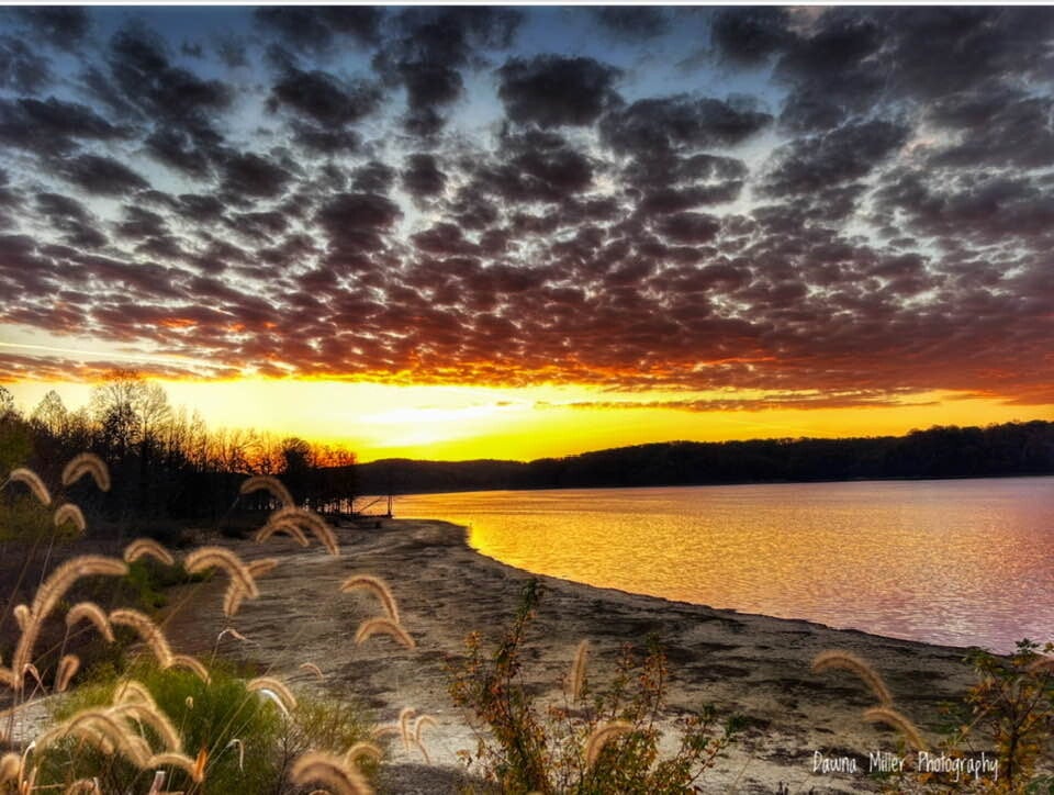 LANDSCAPES | Sweetwater Custom Designs