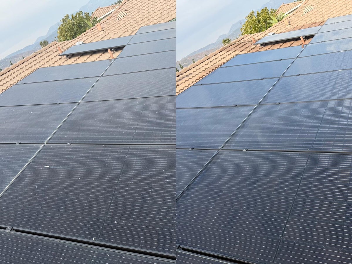 Cleaning services AP