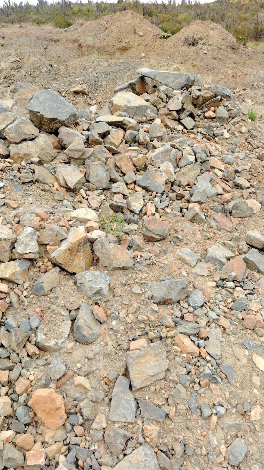 Arrendamiento de Terrenos para Extracción de Arena y Piedra – Calidad y ...