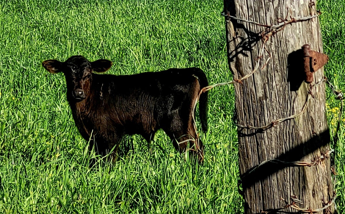 About Us | Wells Ranch and Range