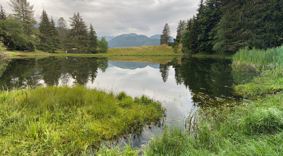 Le lac des Joncs | Suisseactivites.ch