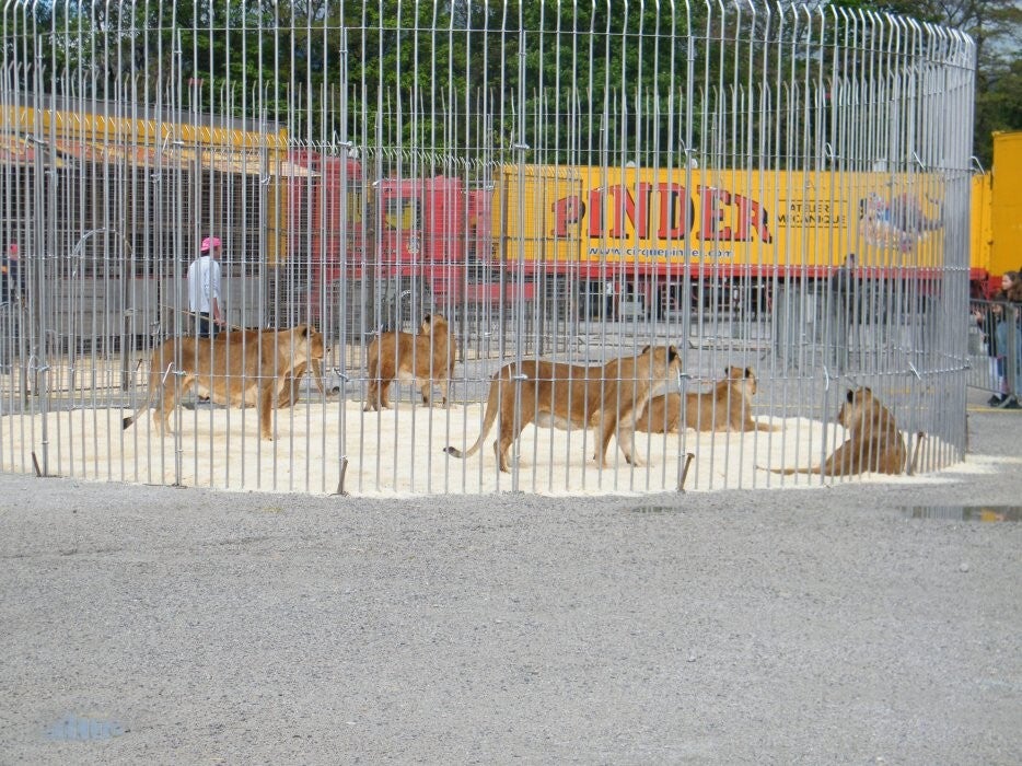 zoo / CIRQUE PINDER JEAN RICHARD / sommaire | ﻿﻿A la découverte de la ...
