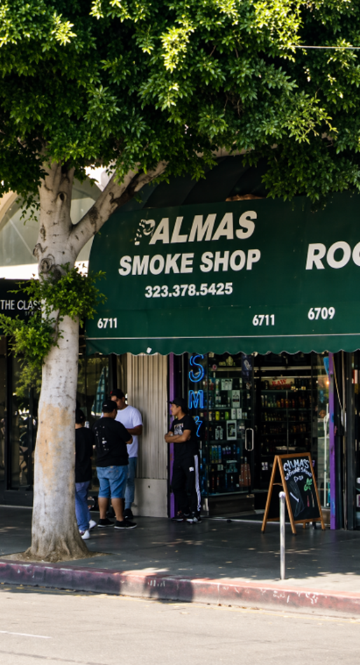 The Candy Shop Killing: The Unsolved Murder of Wilma McFarland ...