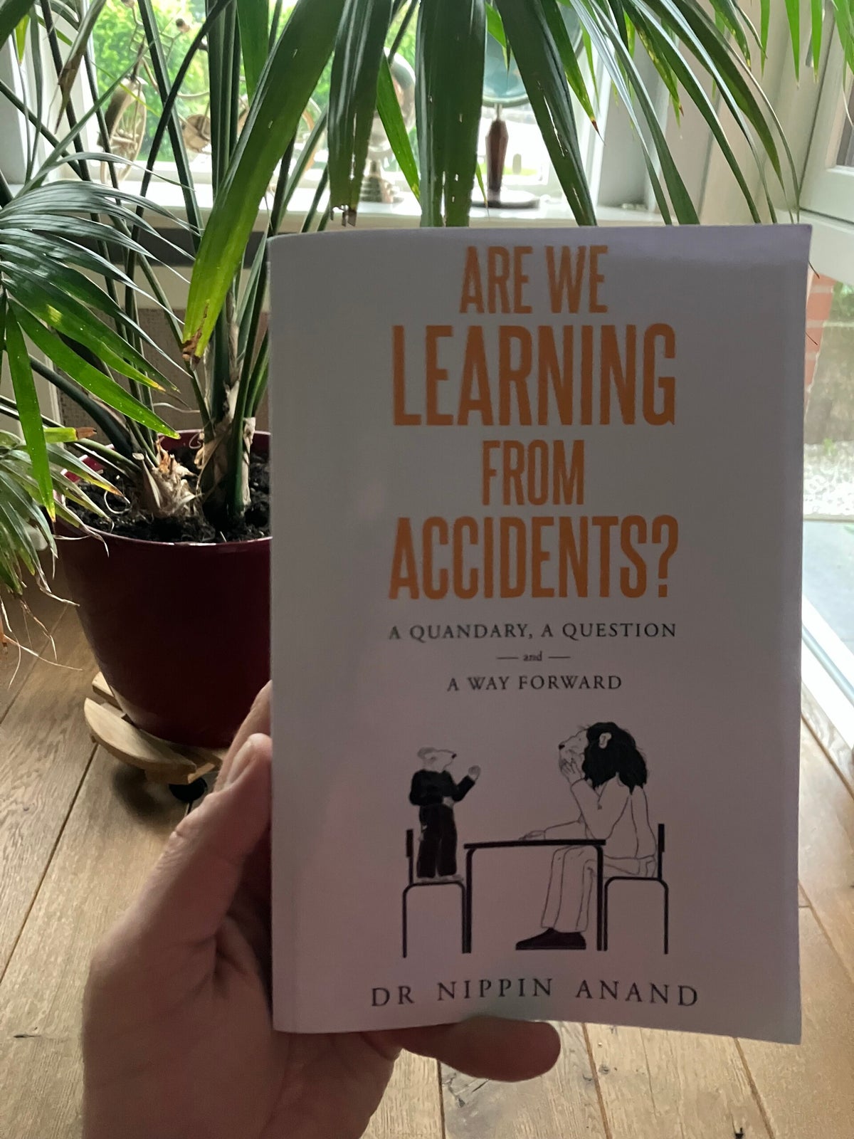 Are We Learning From Accidents? / Book reviews | Unter Soziologen ...