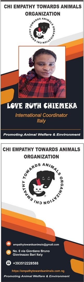 C3- coaching Academy