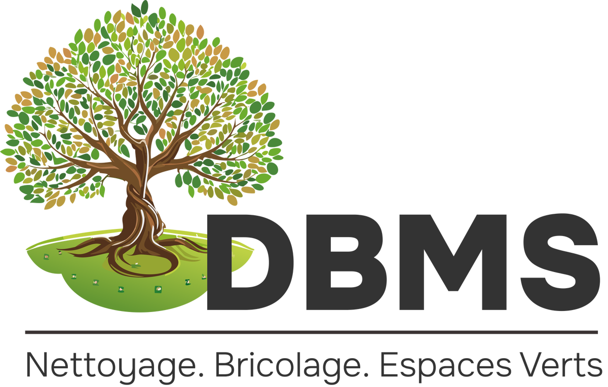 Jardinier à Montpellier – Entretien, nettoyage & bricolage | DBMS