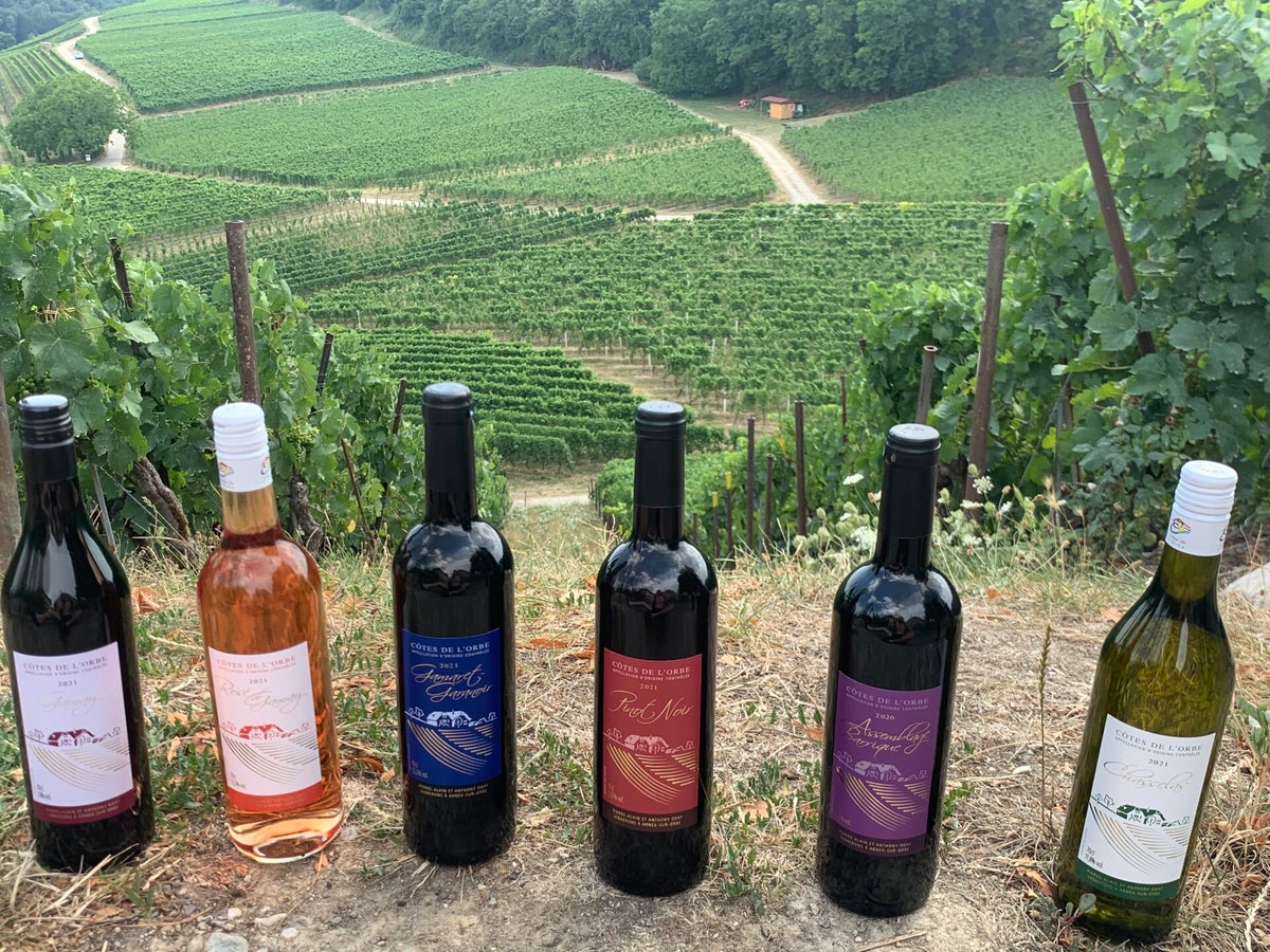 OGAY VINS Domaine viticole. Domaine Sur les Vignes