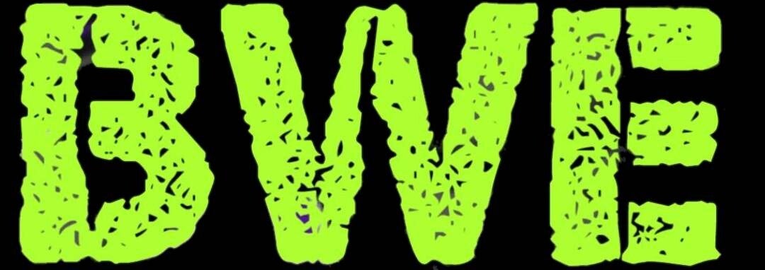 About | BWE WRESTLING