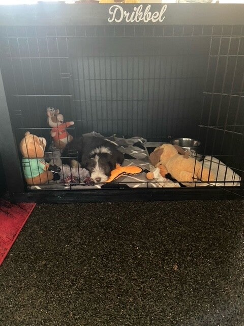 Bench ombouw / Honden en Katten | rwhoutidee.jouwweb.nl