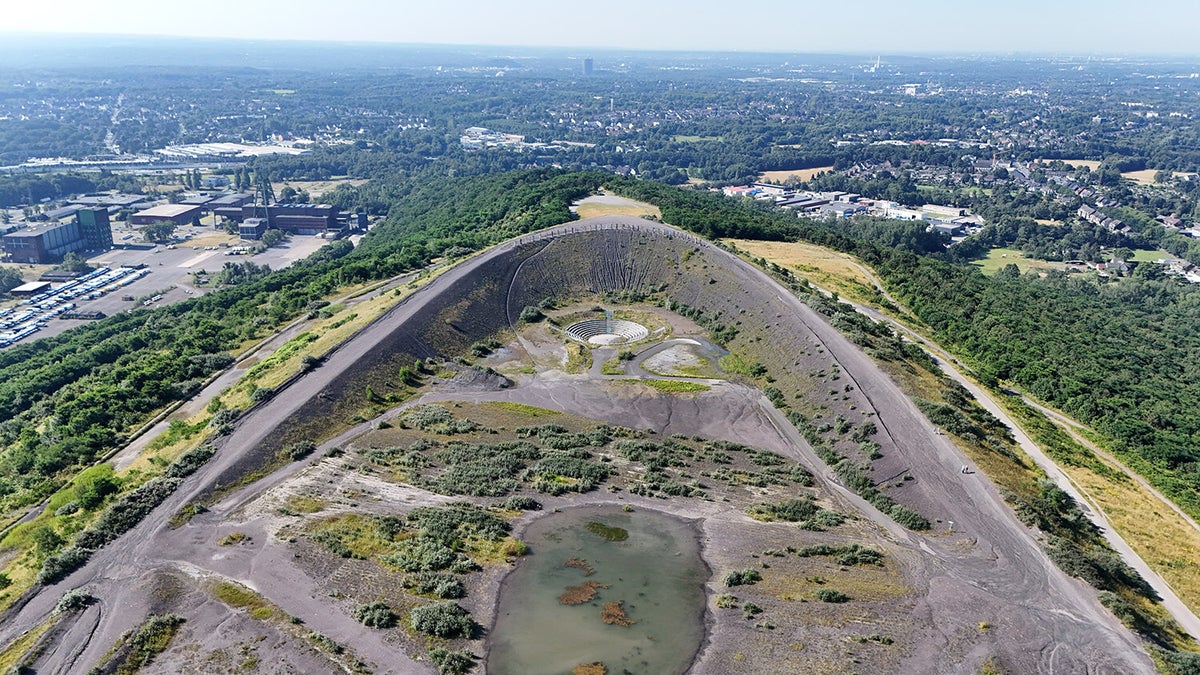 Felter-Net | Michael Felter