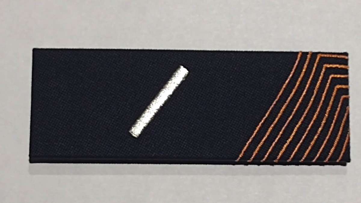 Beveiligingsagent van politie / Beveiligingskader / Geïntegreerde ...