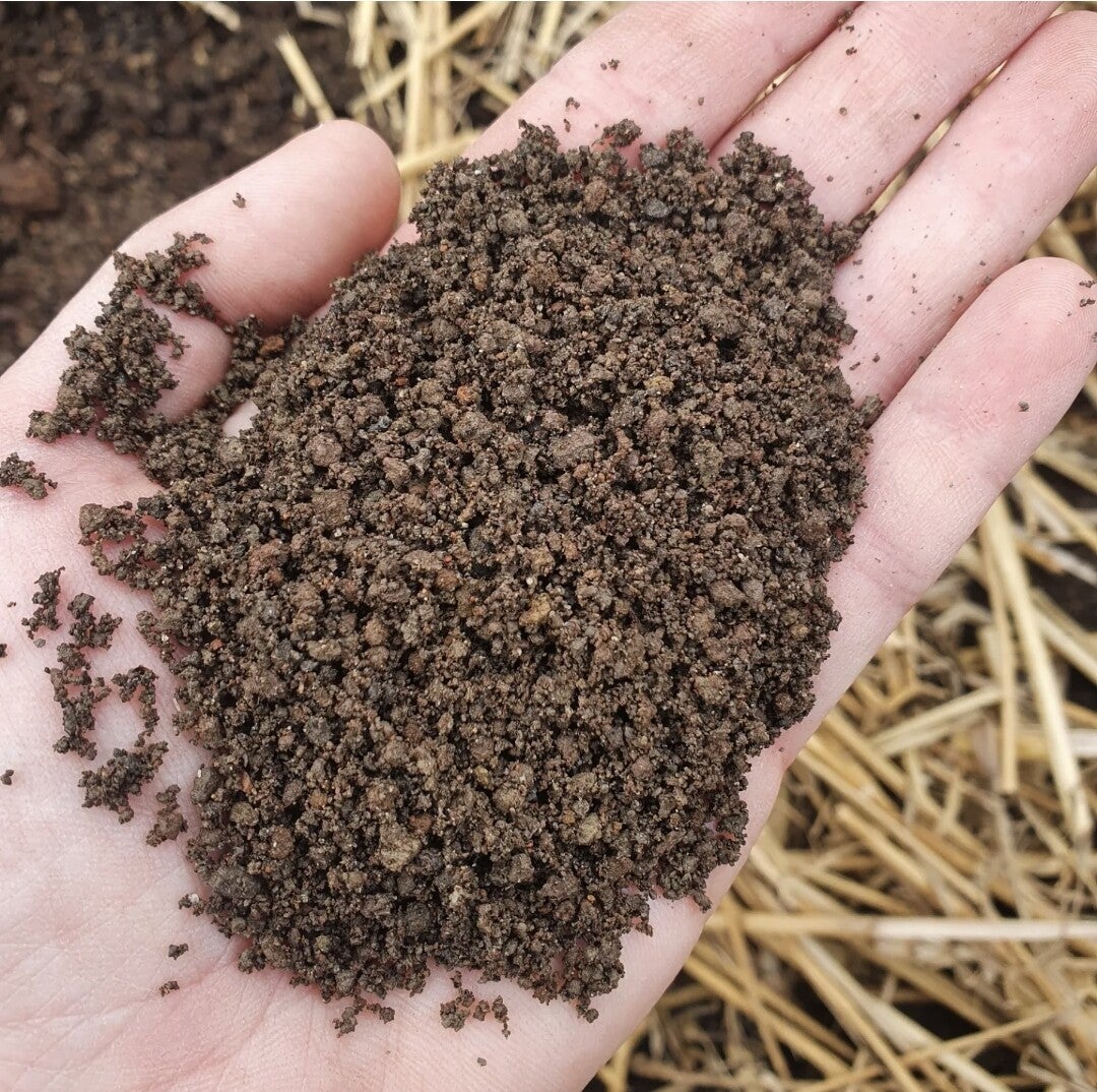 Introduceer lavameel, -korrel of -gruis in jouw moestuin / Bodemzorg ...