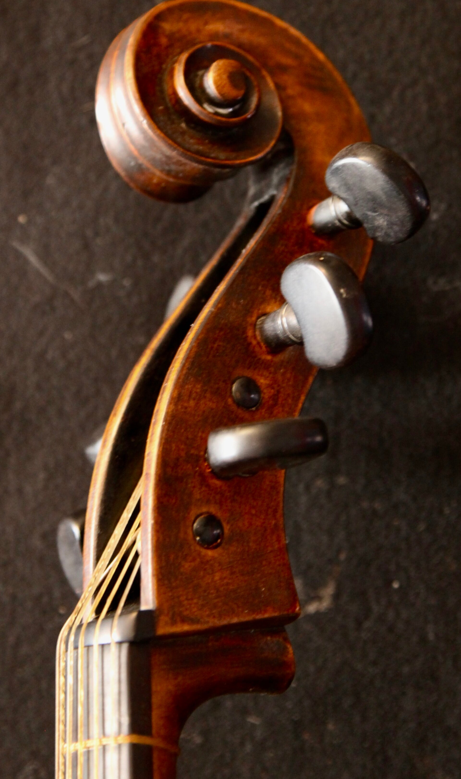 Violas da gamba | El Luthier de Opera