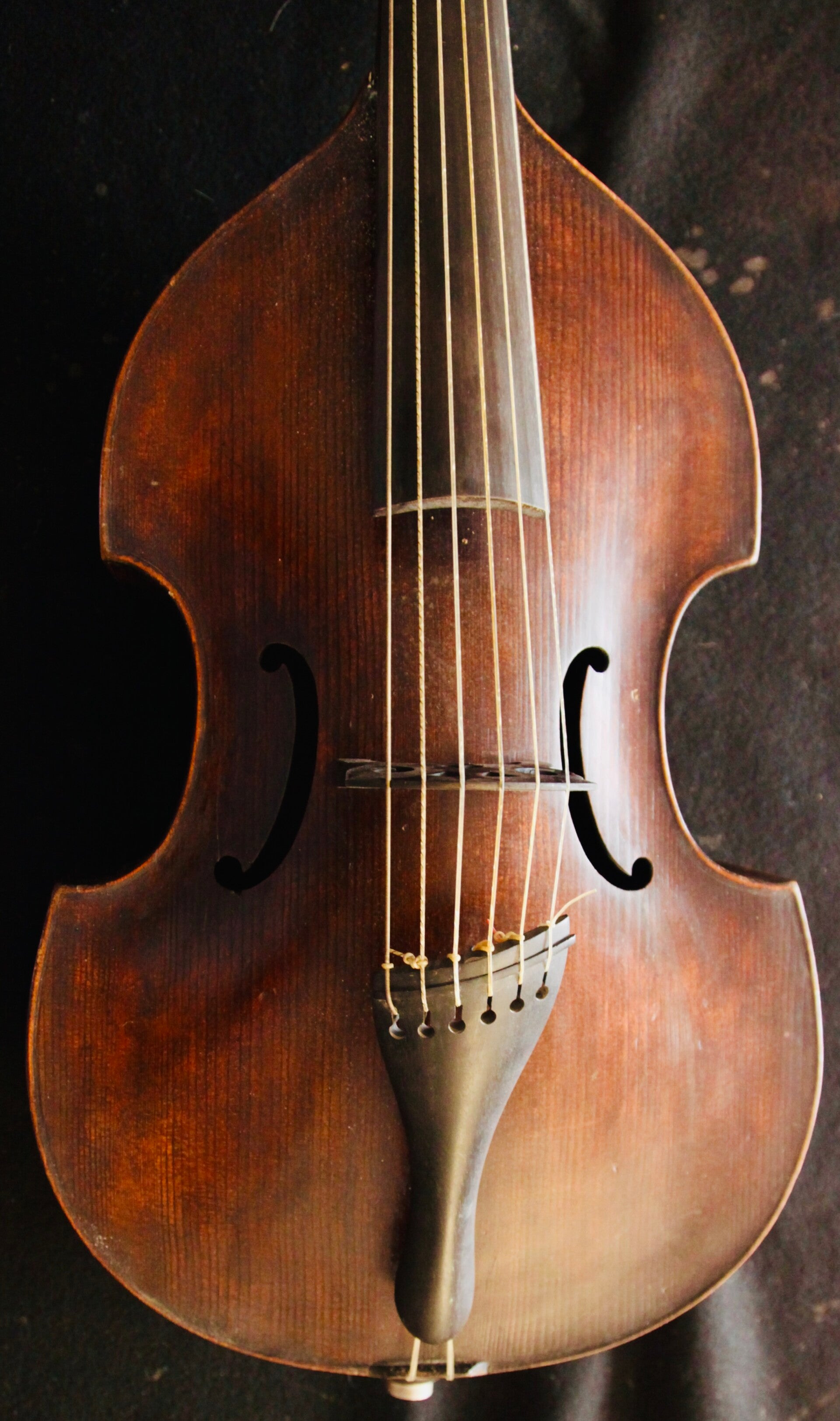 Violas da gamba | El Luthier de Opera