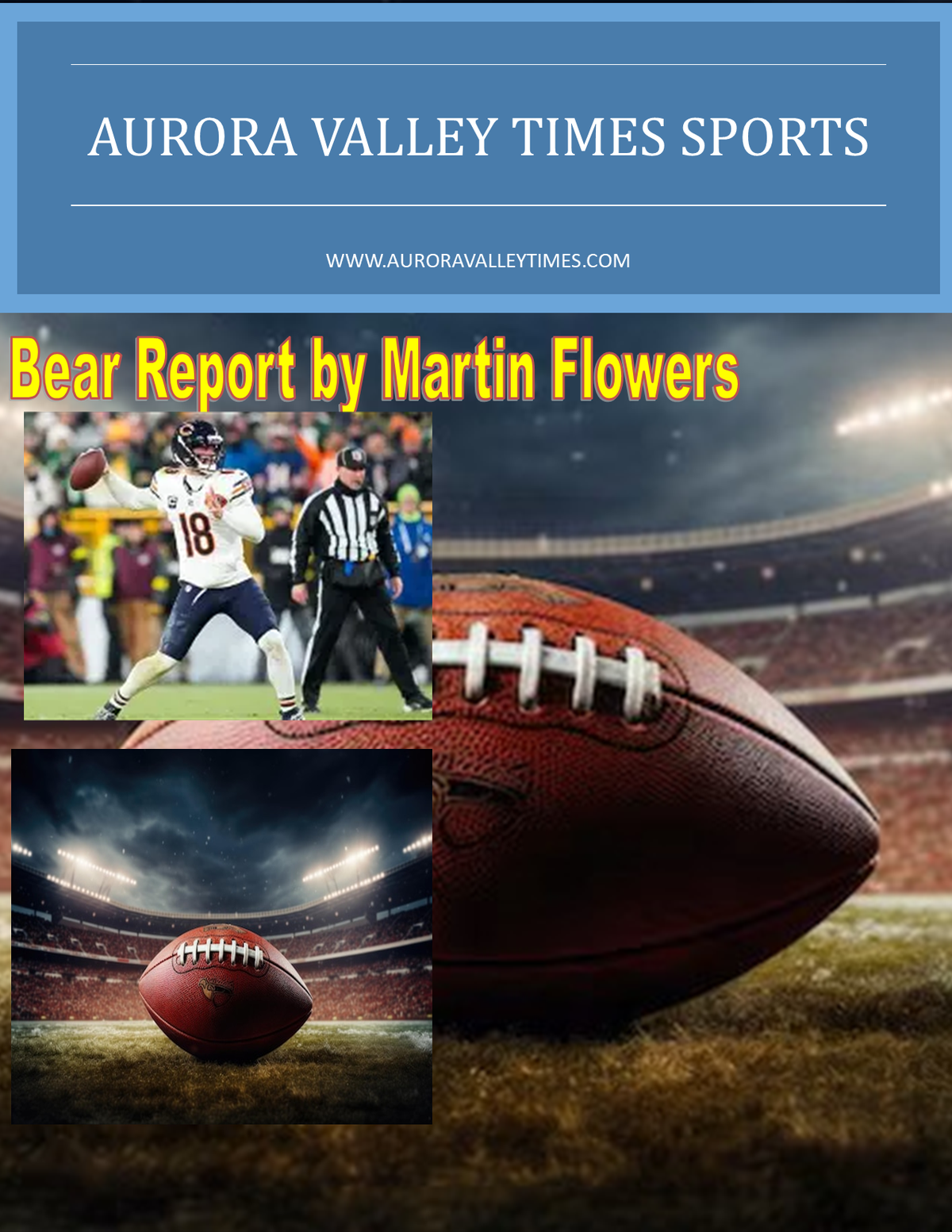 Indiana Ponzi Scheme by Martin Flowers | Aurora Valley Times
