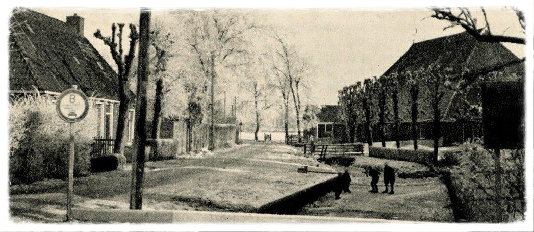 Púndyk / Bewoners per straat | Wytgaard