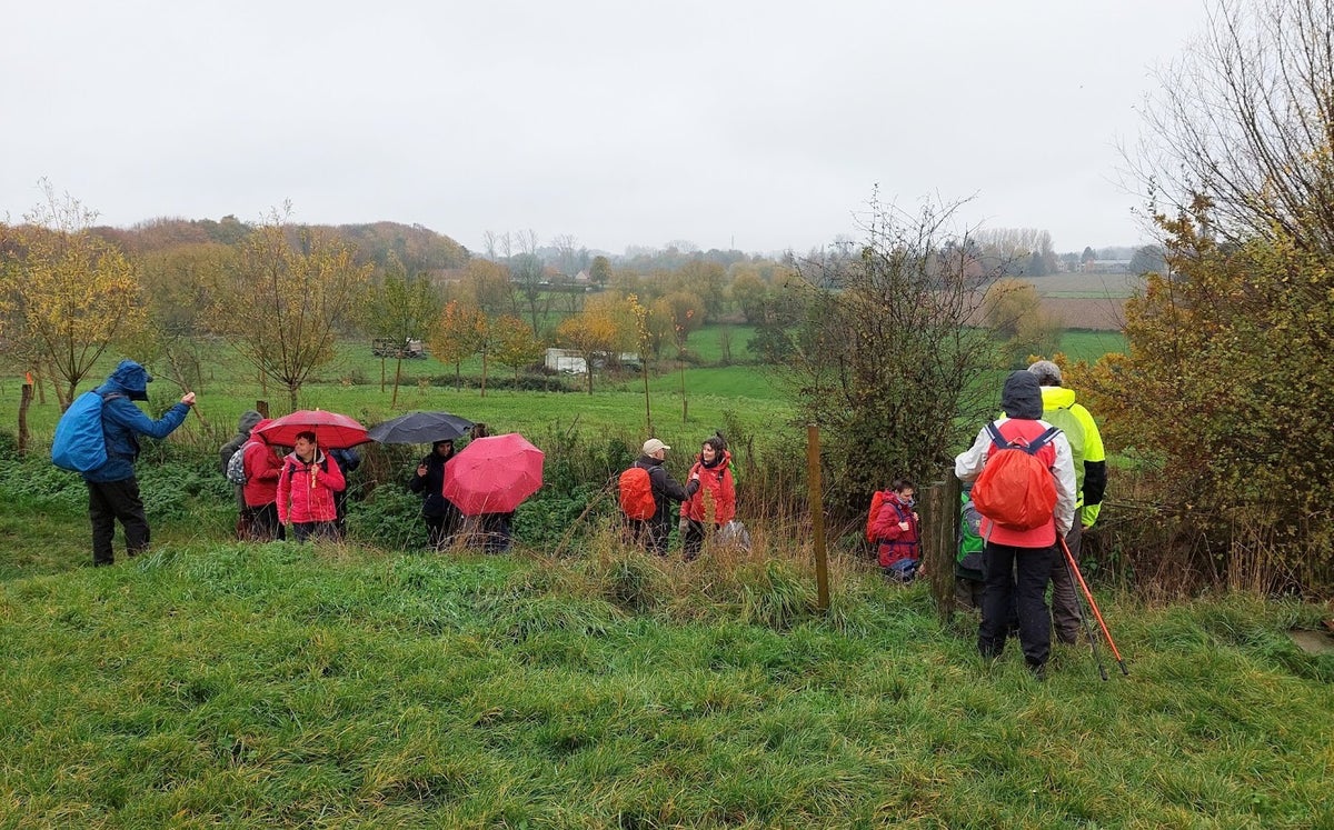 Reportages van eigen wandelingen | Natuurwandelaars