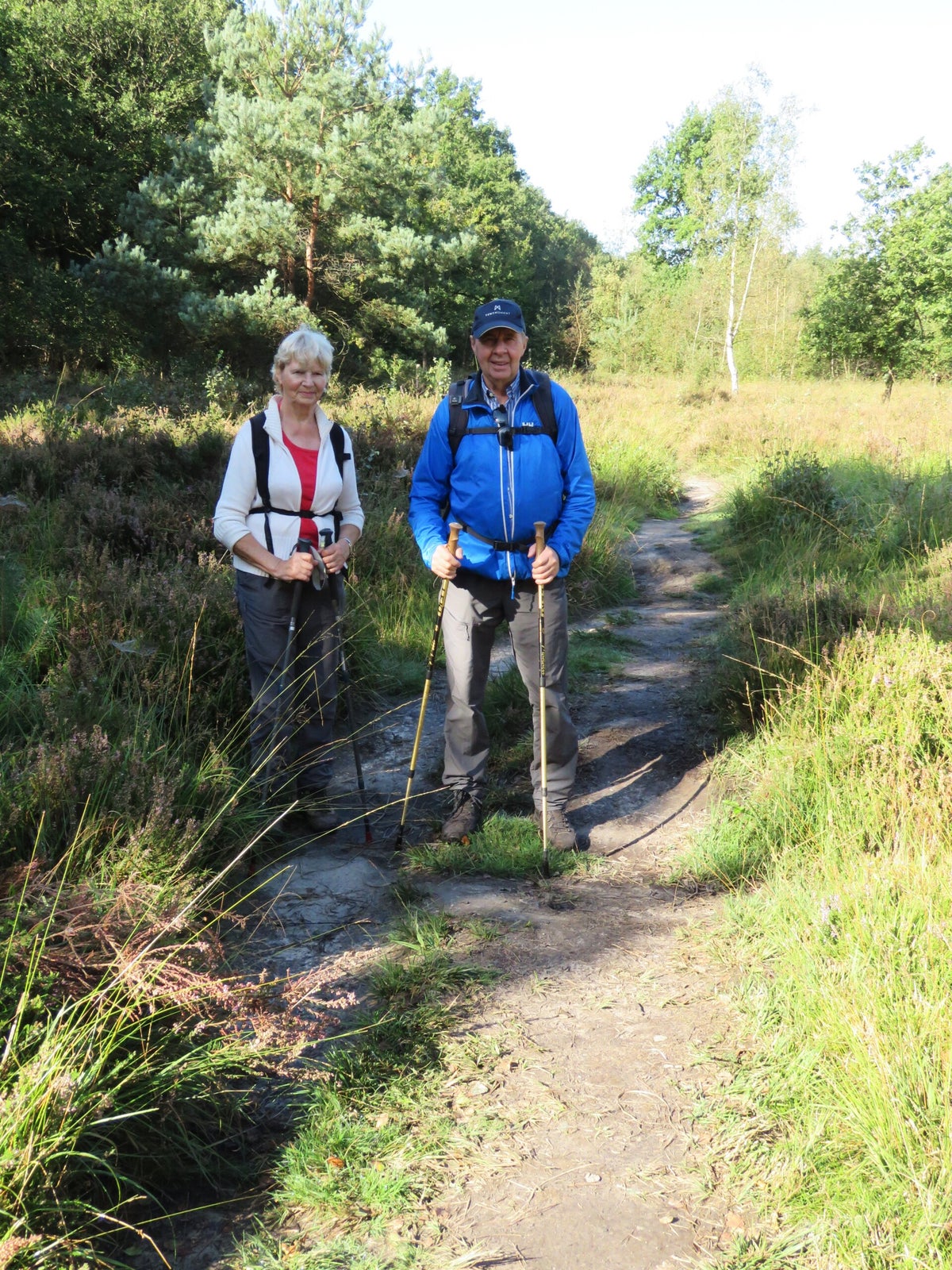 Reportages van eigen wandelingen | Natuurwandelaars