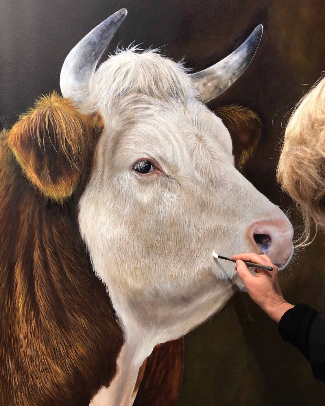 Margje |Het portret van een rood bonte koe in olieverf, door Gerrie ...