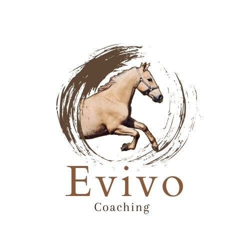Home | Evivo coaching