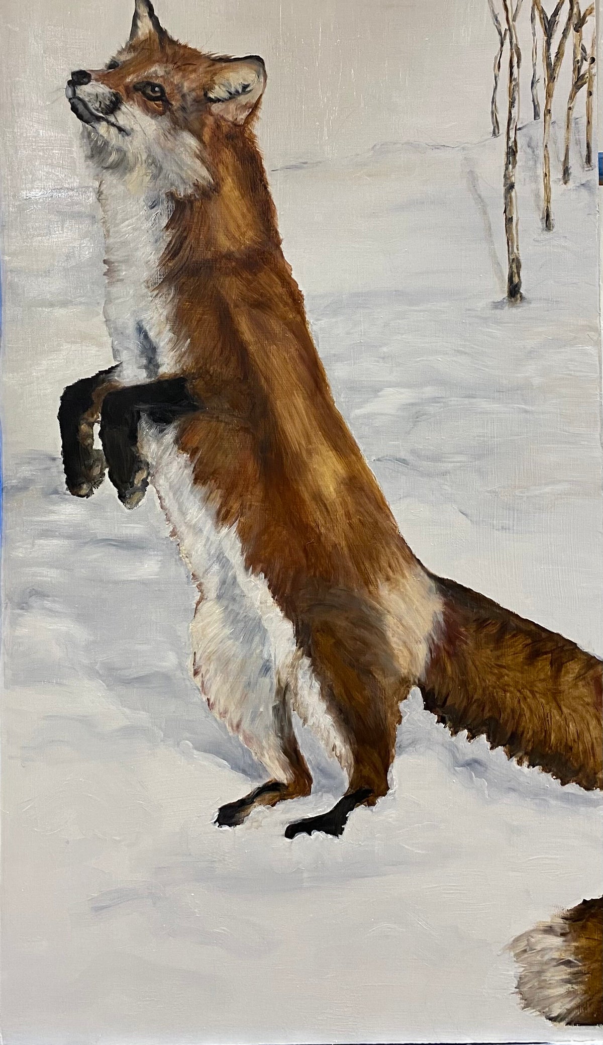 Fine Oil Paintings of Wildlife and Landscapes